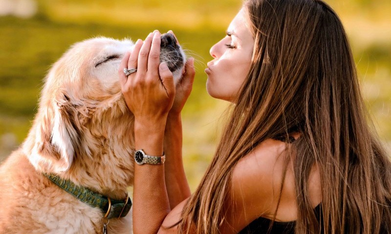 Dog owners talk to their pet more than their partner | Pet Gazette