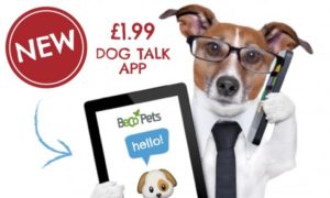 UK pet firm launches 'Dog Talk' phone app | Post