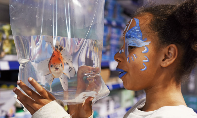 Fishkeeper Scotland expands with garden centre | Post