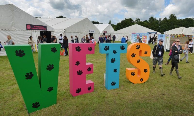 VET Fest celebrates a record year | Pet Gazette