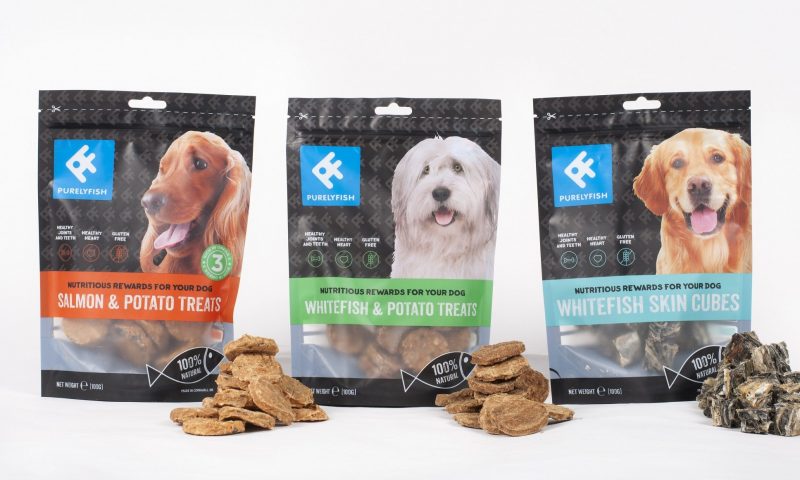 Cornish brand launches new fish-based pet treats | Post