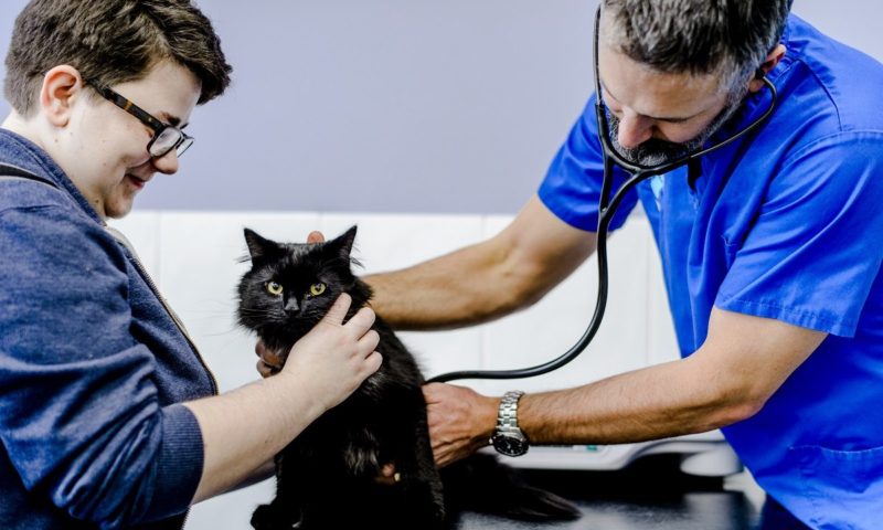Blue Cross extends offerings with new vet partnerships | Post