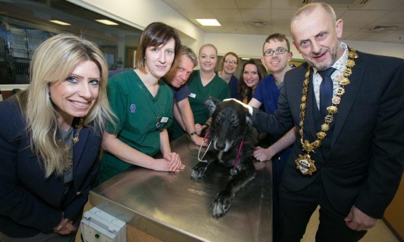 UK’s first not-for-profit vets opens clinic in Leeds | Post