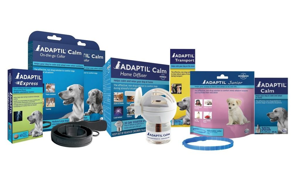 Ceva launches new ADAPTIL range | Pet Gazette