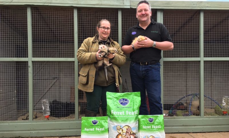 Alpha Feeds award £500 sponsorship to Chase Ferret Rescue | Pet Gazette