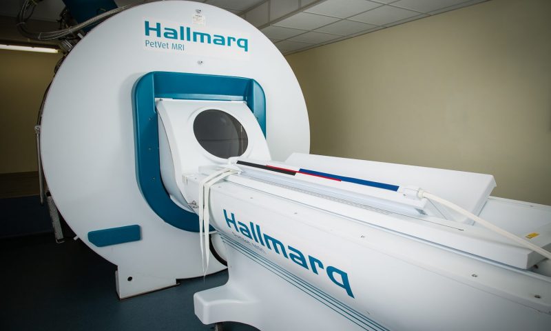 August Equity backs management buyout of Hallmarq Veterinary Imaging | Post