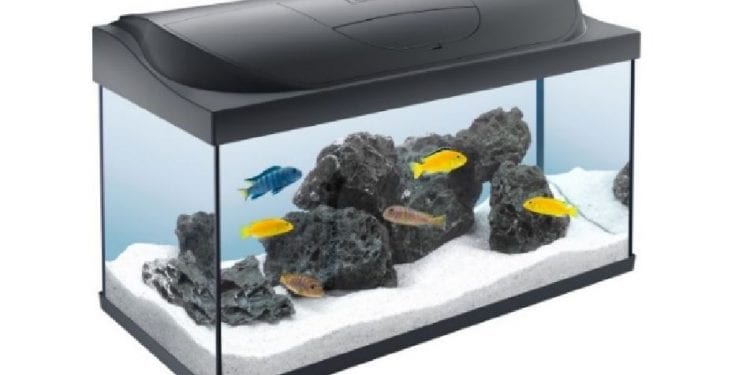 Tetra adds 105L aquarium to Starter Line range | Post