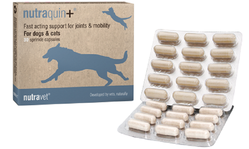 Nutravet releases new introductory pack sizes of Nutraquin+ | Pet Gazette