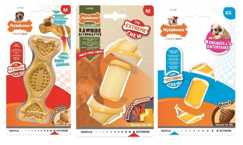 Nylabone launches new products for spring | Post