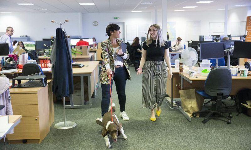 Pet industry celebrates Bring Your Dog to Work Day | Post