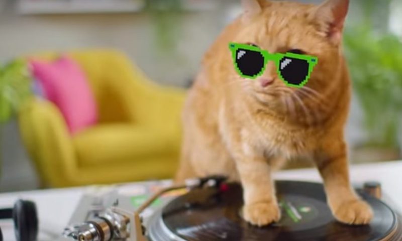 Pets at Home creates pet rap video for new subscription service | Post