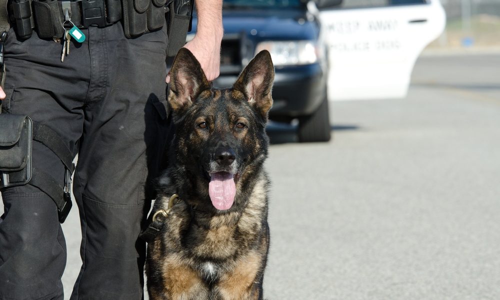 Royal Canin supports BCH police dog unit | Post