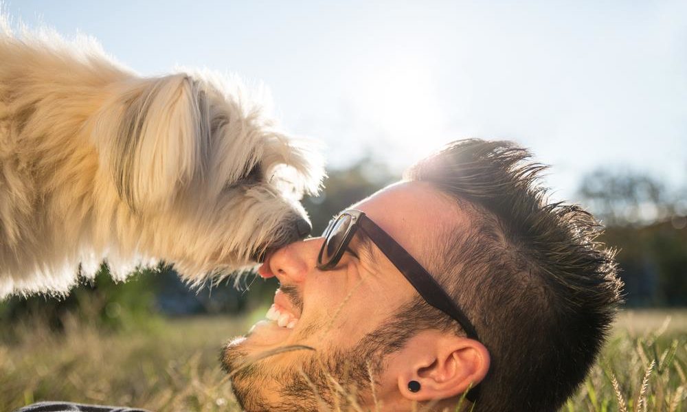 One In Five UK Pet Owners Move To Keep Their Pets Happy Study Finds Post one-in-five-uk-pet-owners-move-to-keep-their-pets-happy-study-finds-post