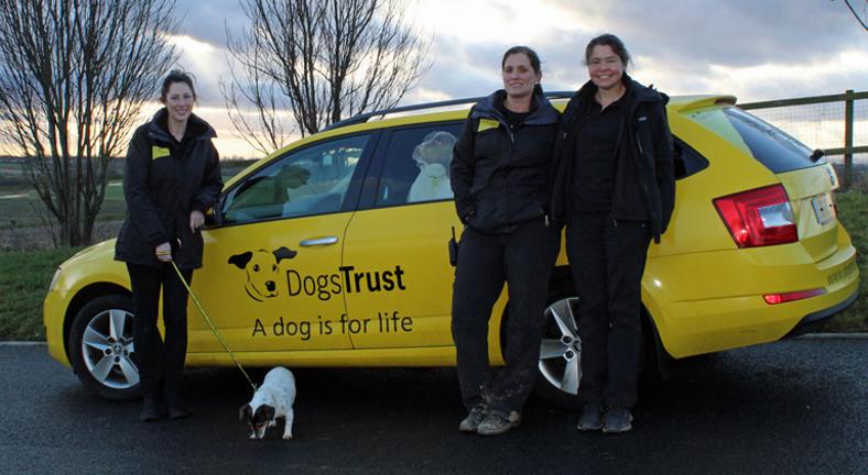 Dogs Trust implements new measures amid Covid-19 outbreak | Post