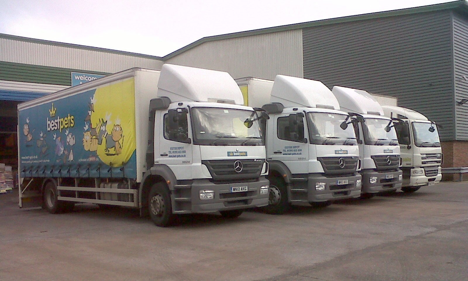 Bestpets named ‘wholesaler of the year’ | Pet Gazette