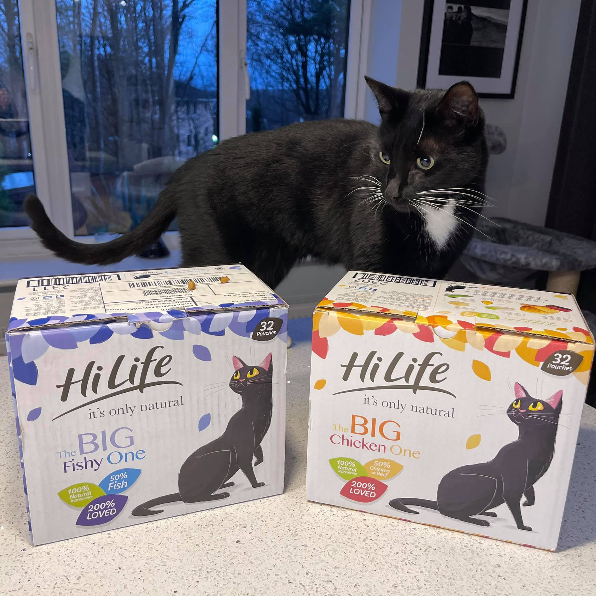 HiLife donates 45,000 meals to homeless animals | Post