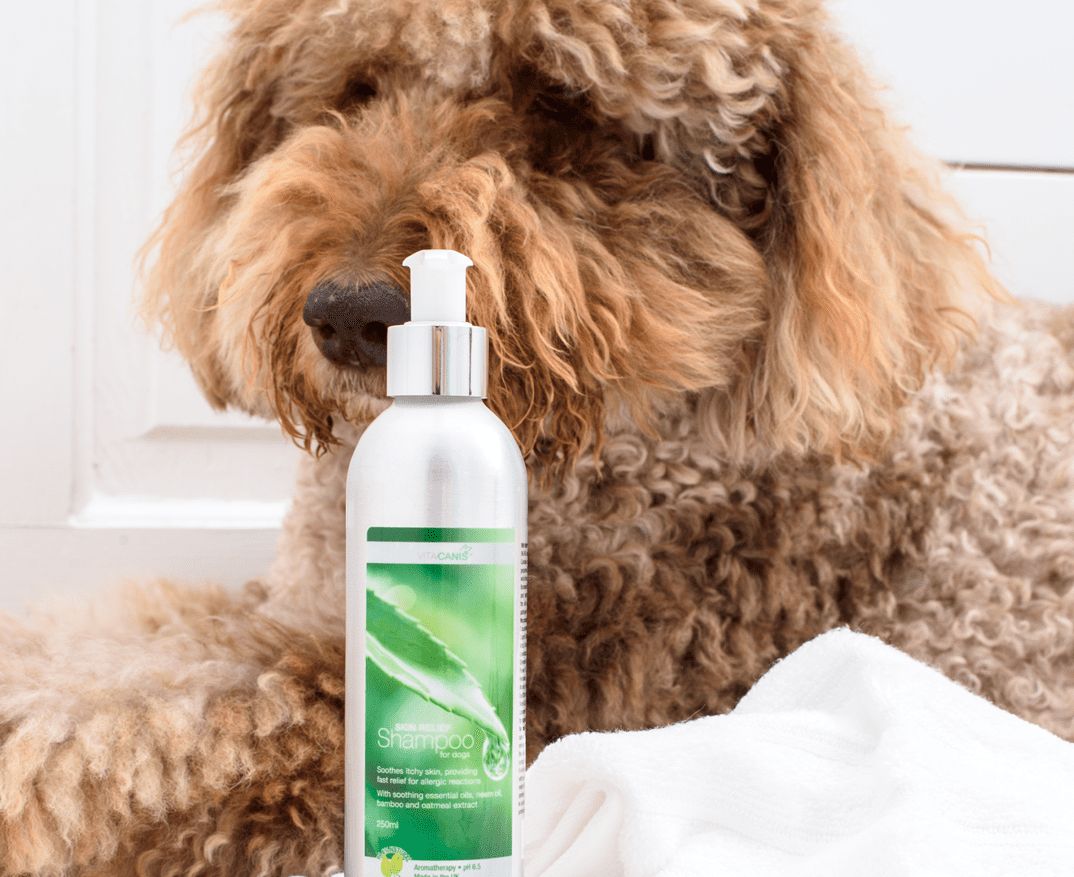 Vita Canis launches new skin relief shampoo for dogs | Pet Gazette