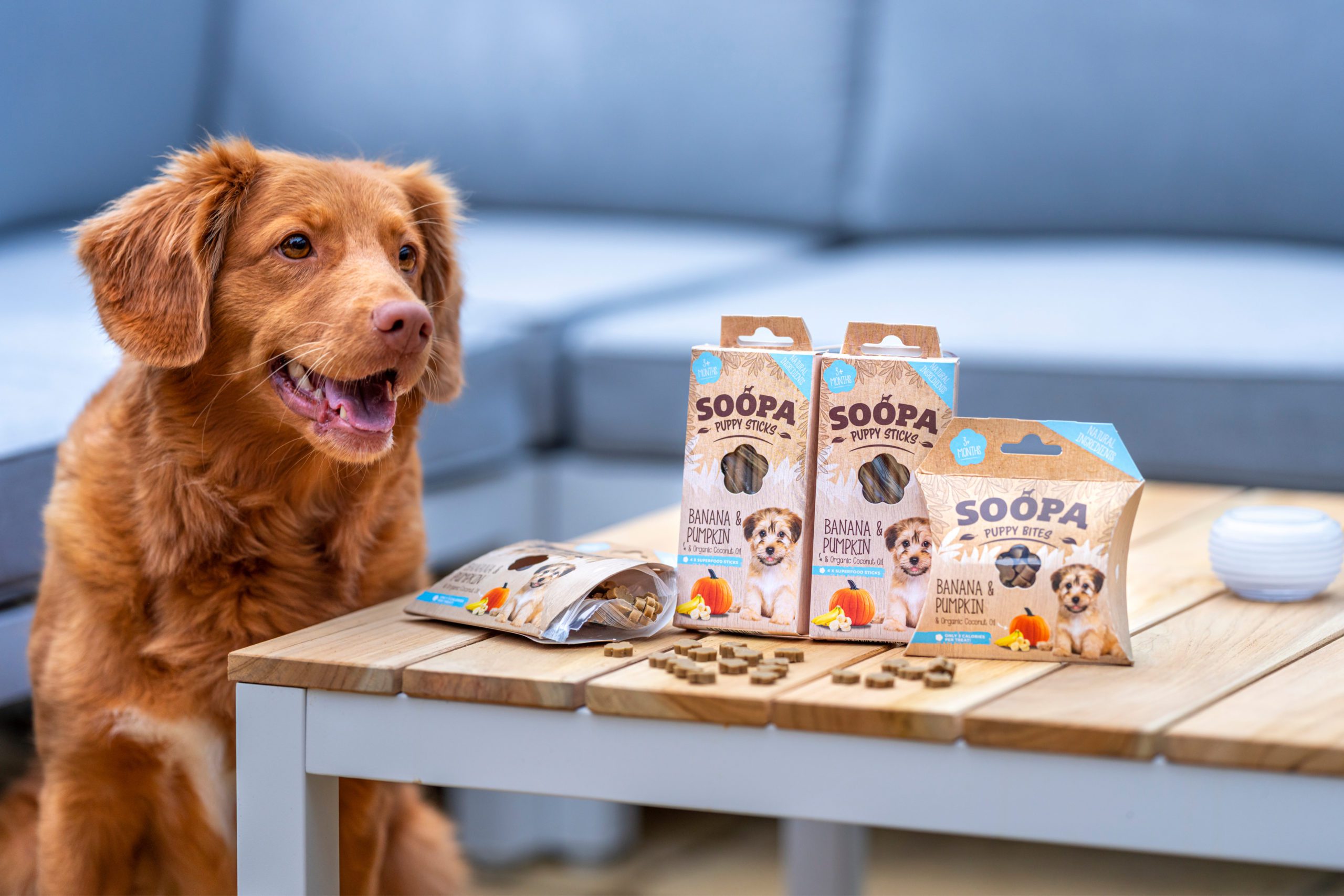 Soopa launches Puppy Range | Post