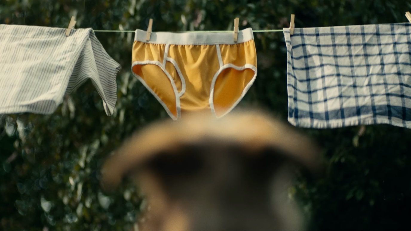 Dogs Trust launches new TV campaign with Sir Joanthan Pryce | Pet Gazette