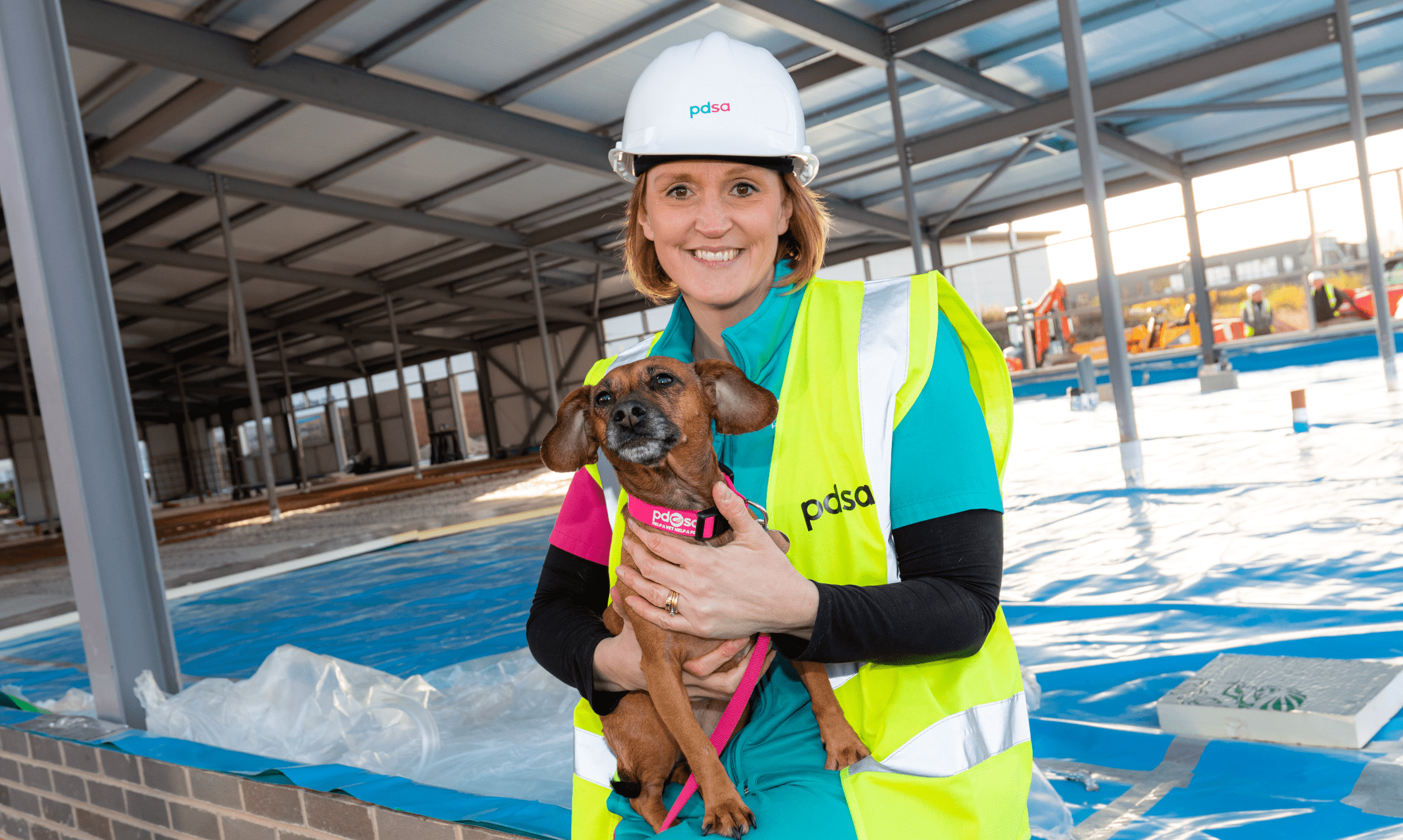PDSA pet hospital taking shape amid roof completion | Pet Gazette