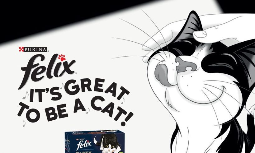 Felix launches new brand campaign | Pet Gazette
