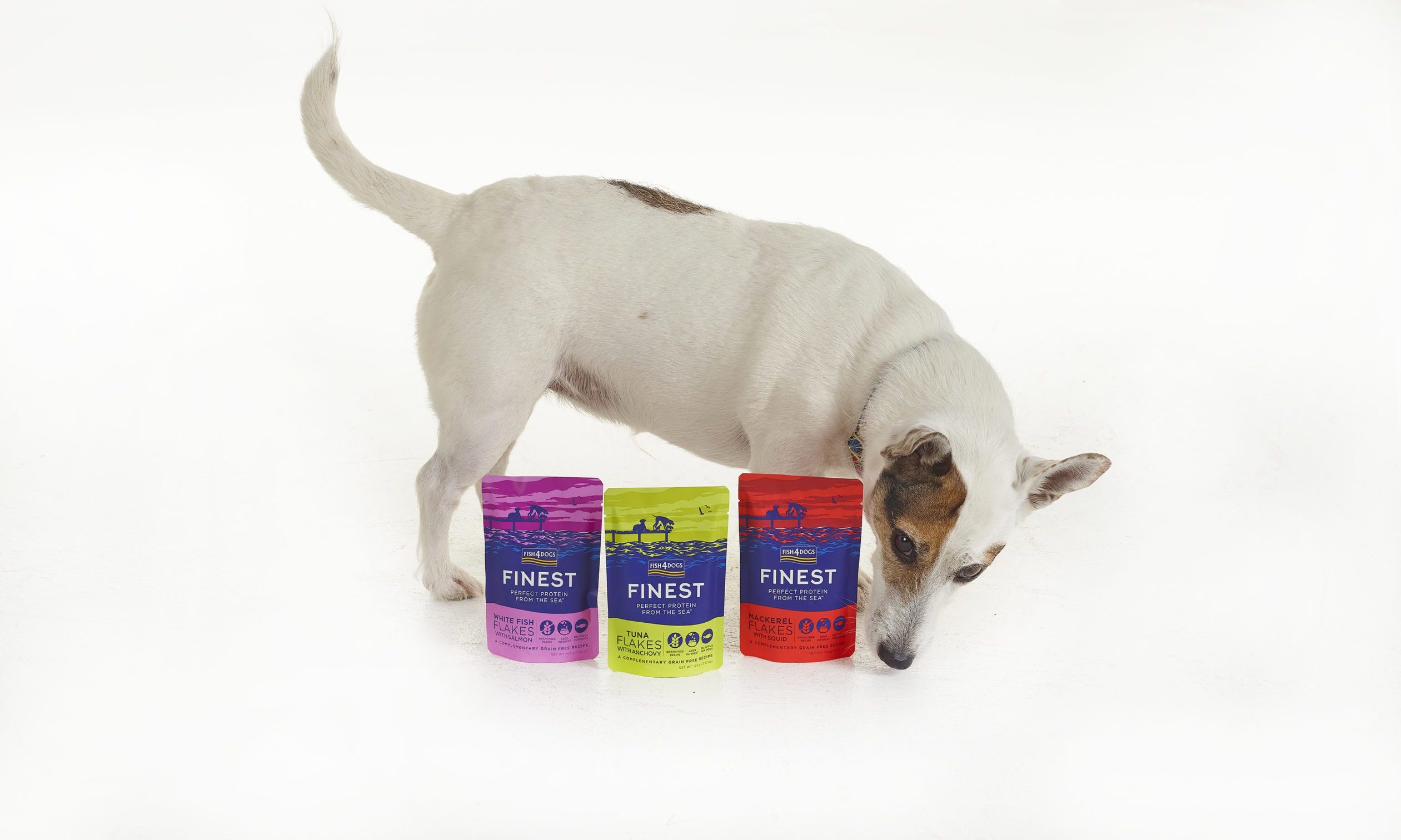 Fish4Dogs launches new wet food range | Post