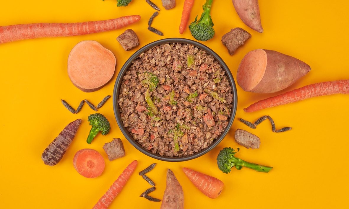 Tuggs launches insect-based pet food pouches | Pet Gazette