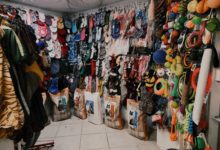 Fresh cat food brand Marro launches in UK | Post