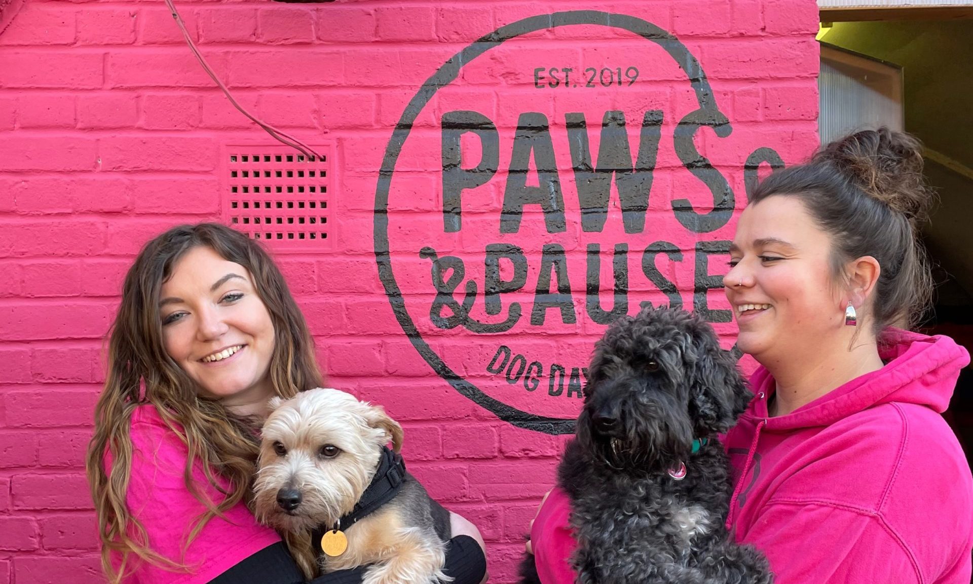 Paws and Pause dog daycare opens new site in Peckham | Pet Gazette