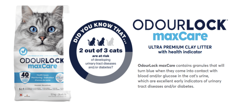 NEW Intersand OdourLock® maxCare™ - Unscented ultra-premium clay litter ...