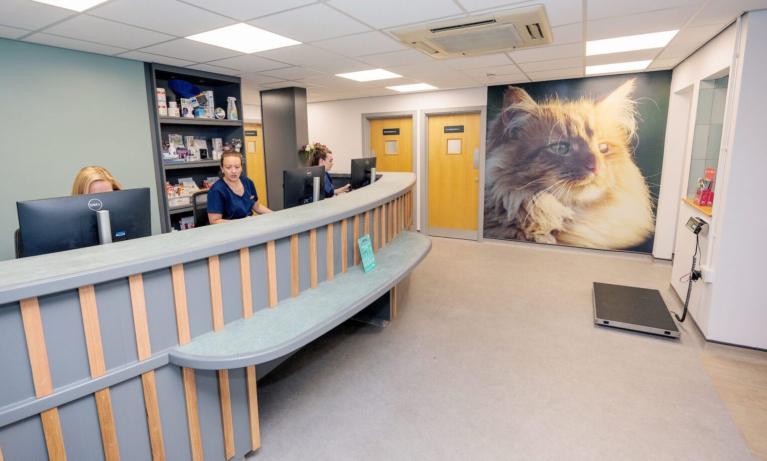 Gourley Vets reopens after £700k refurb | Pet Gazette
