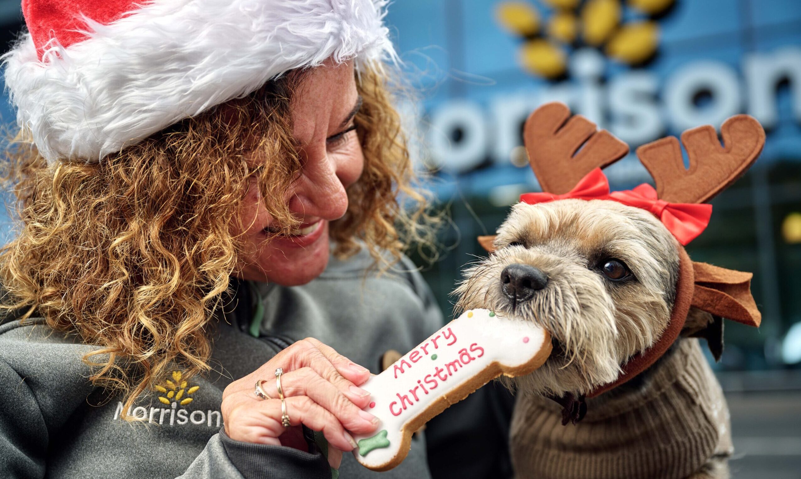 Morrisons unveils festive pet range | Pet Gazette