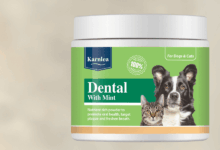 Fresh cat food brand Marro launches in UK | Post