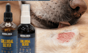 Herbal Dog Co launches Colloidal Silver High Potency Range | Post