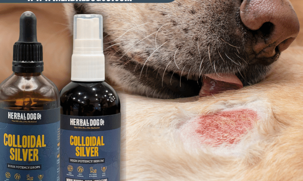 Herbal Dog Co launches Colloidal Silver High Potency Range | Post