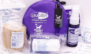 Poorly Paws partners with Leucillin on pet first aid kits | Pet Gazette