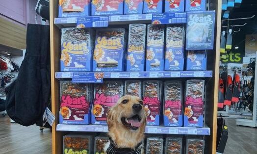Just for Pets launches fresh dog food brand Years across UK stores ...